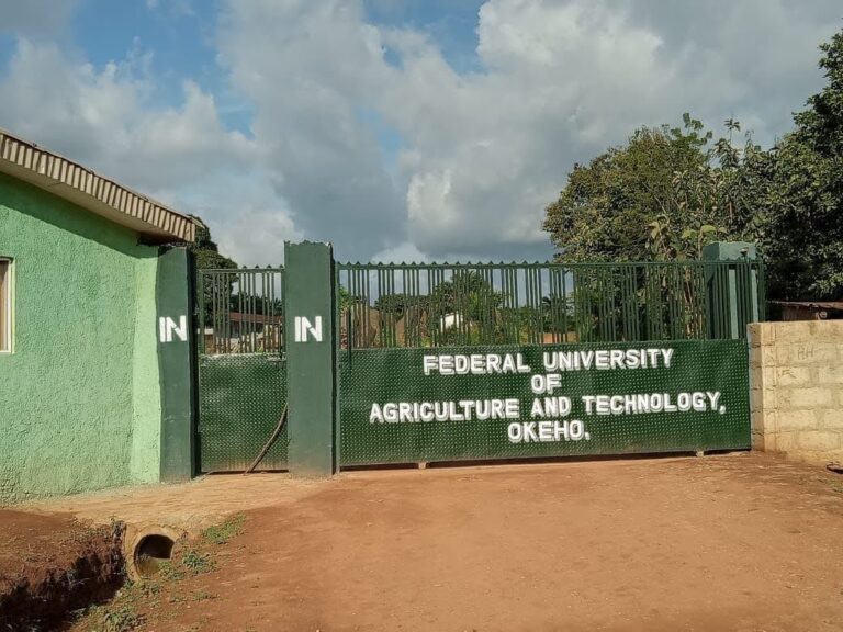 Federal University of Agriculture and Technology, Okeho Vacancies